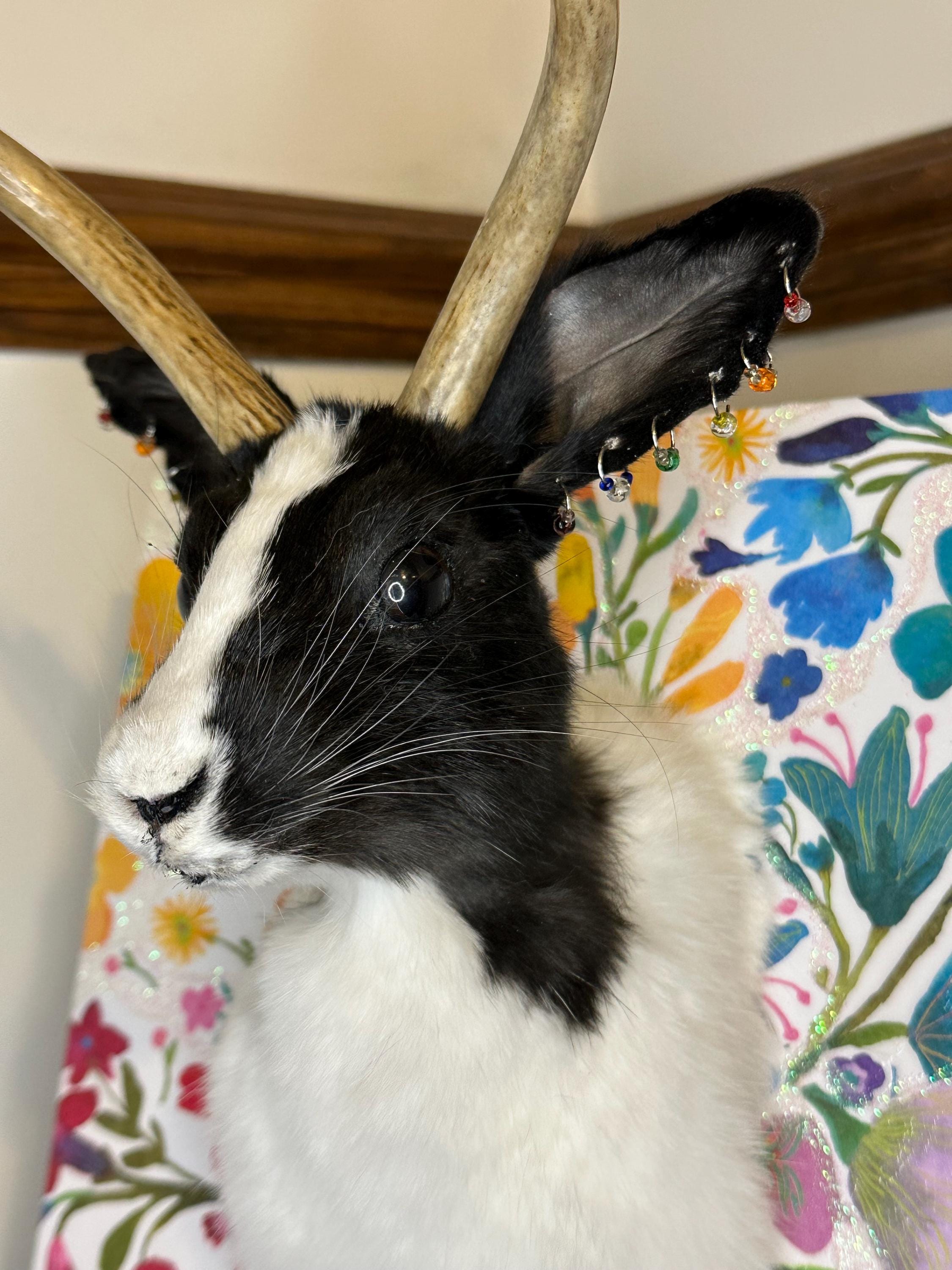 Rainbow Themed Jackalope - Etsy