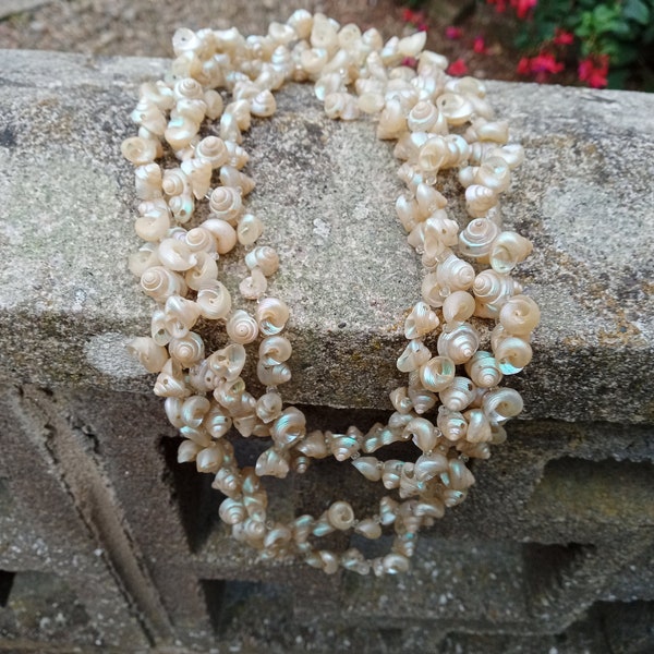 Trochus Shell - Etsy