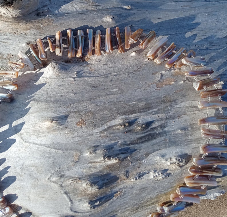 Vintage Natural Abalone Belt, Unique Handmade Gemstone Belt - Etsy