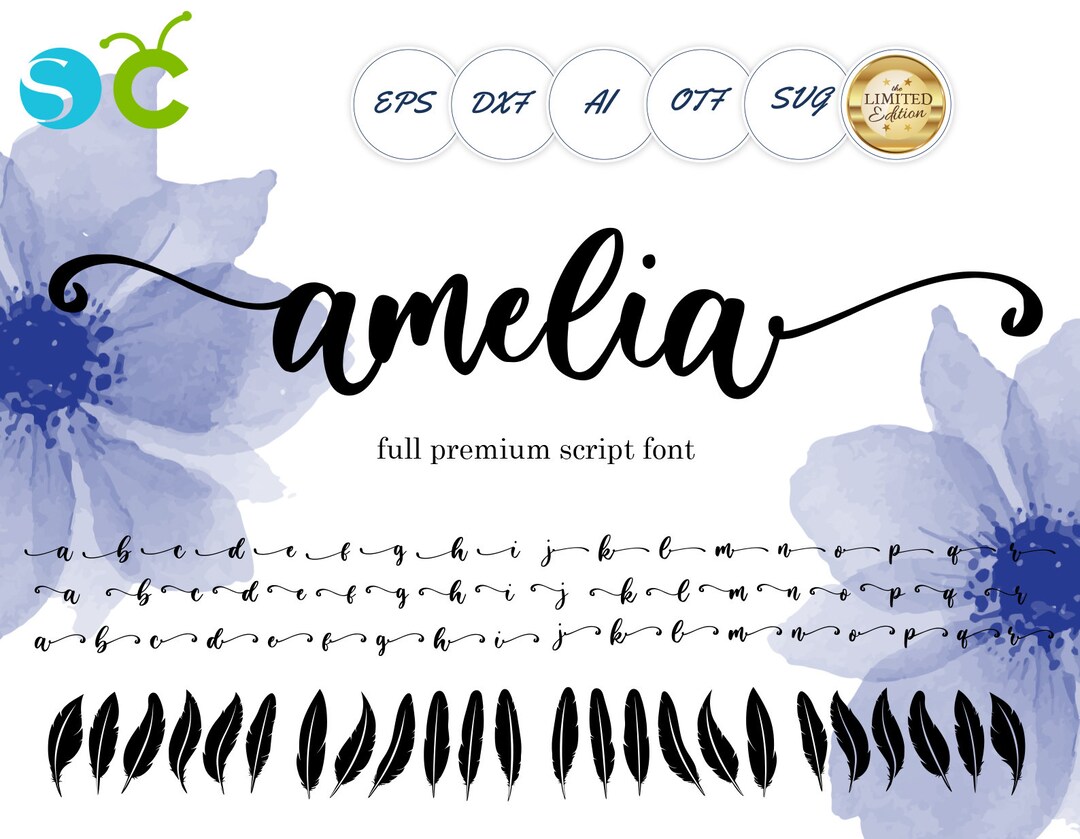 Full Premium Calligraphy Font With Tails Calligraphy SVG - Etsy UK