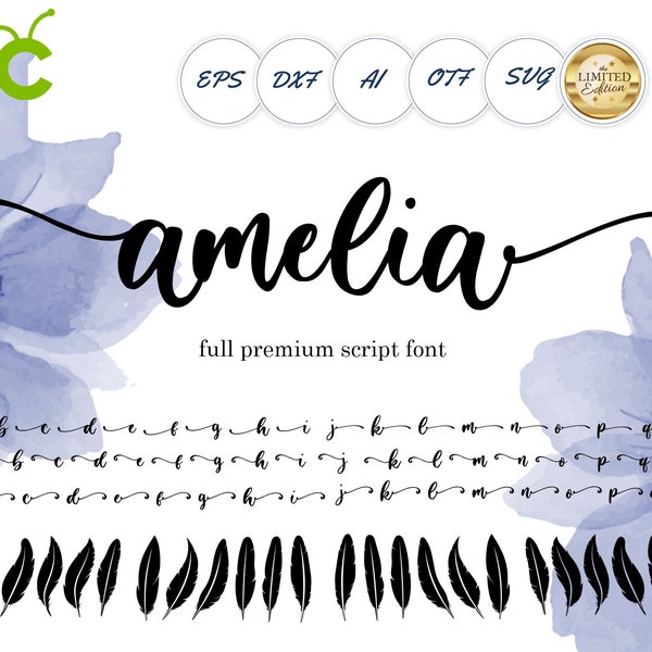 Font With Tails - Etsy