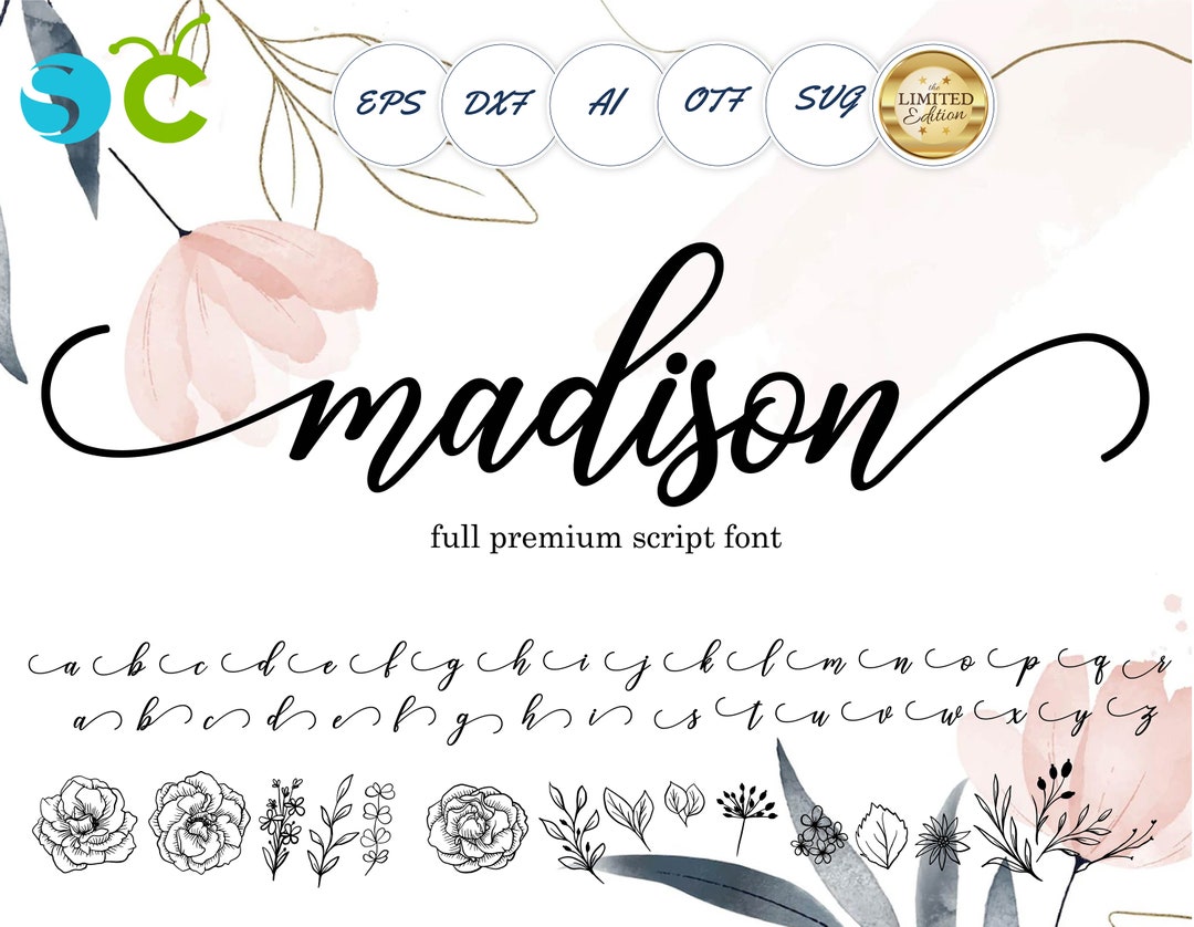Full Premium Wedding Font With Tails, Calligraphy Font OTF, Calligraphy ...