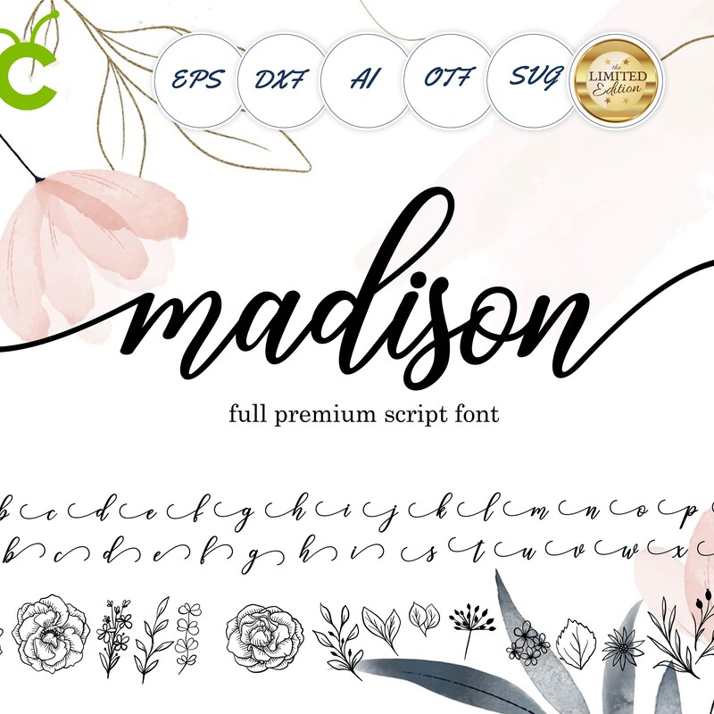 Font With Tails - Etsy