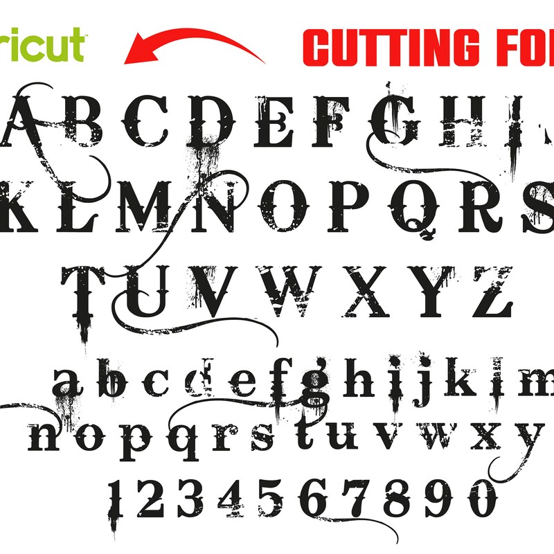 Rope Font for Canva - Etsy