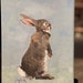 Bunny Rabbit Original Painting - Etsy