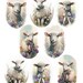 Rice Paper Decoupage A4 Sheep 6 - Etsy Canada