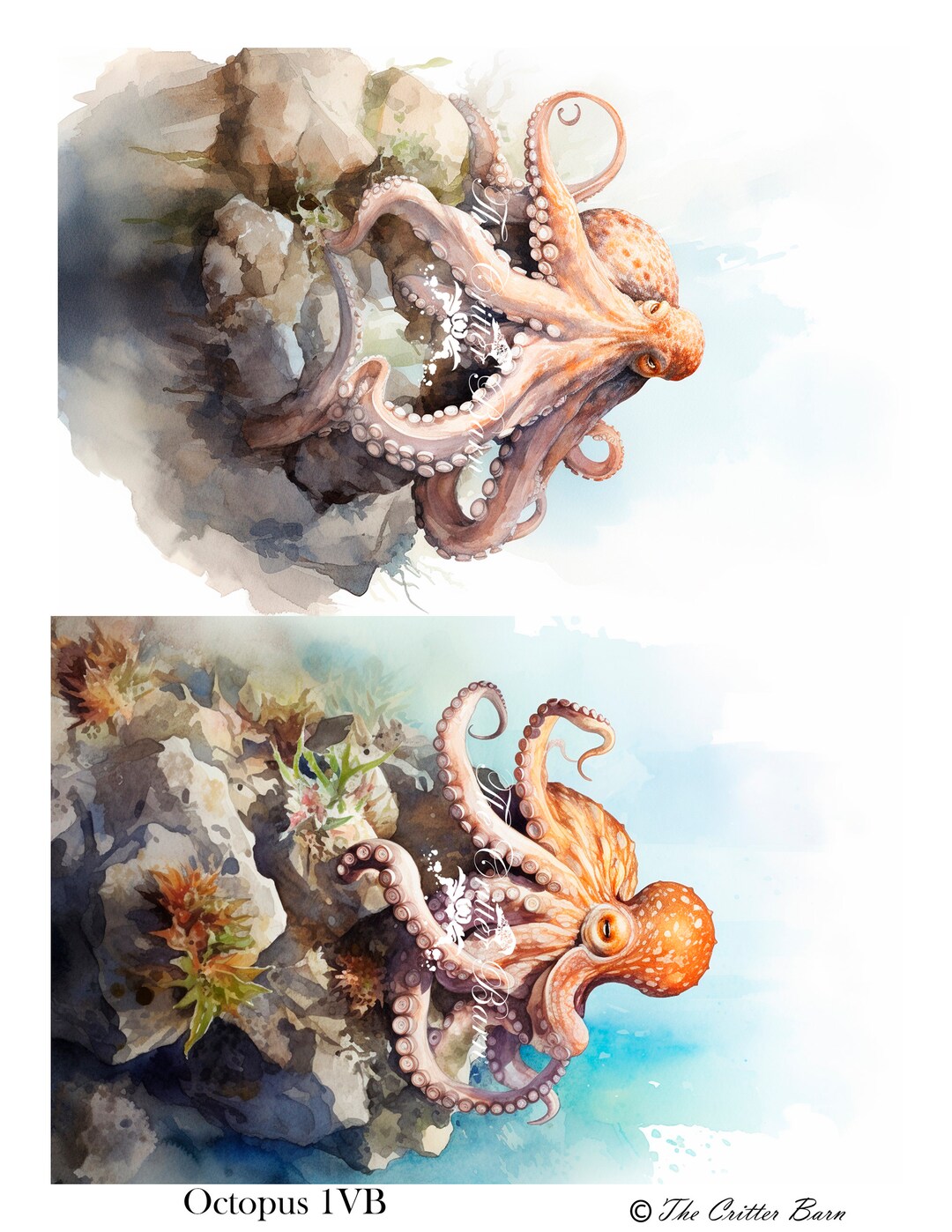Decoupage Octopus 1VB Digital Download - Etsy