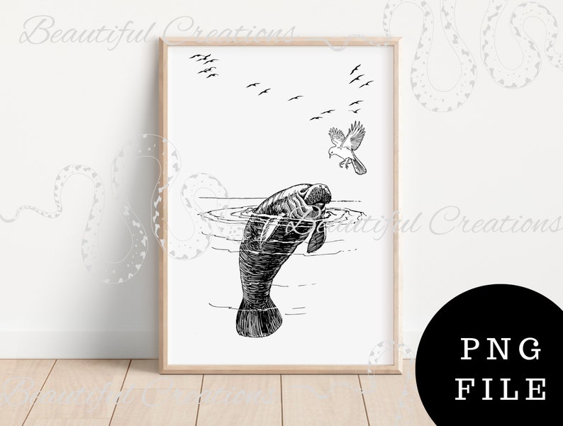 Manatee Art PNG - Etsy