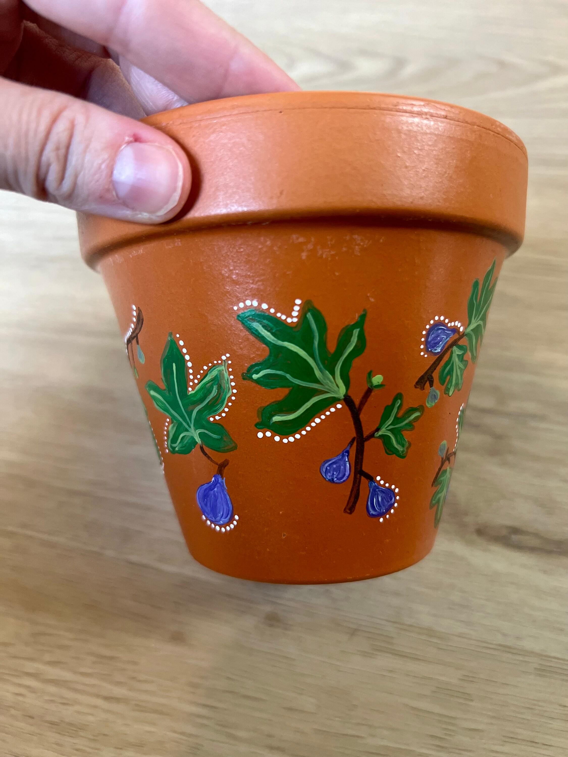 Hand Painted Fig Terra Cotta Pot - Etsy