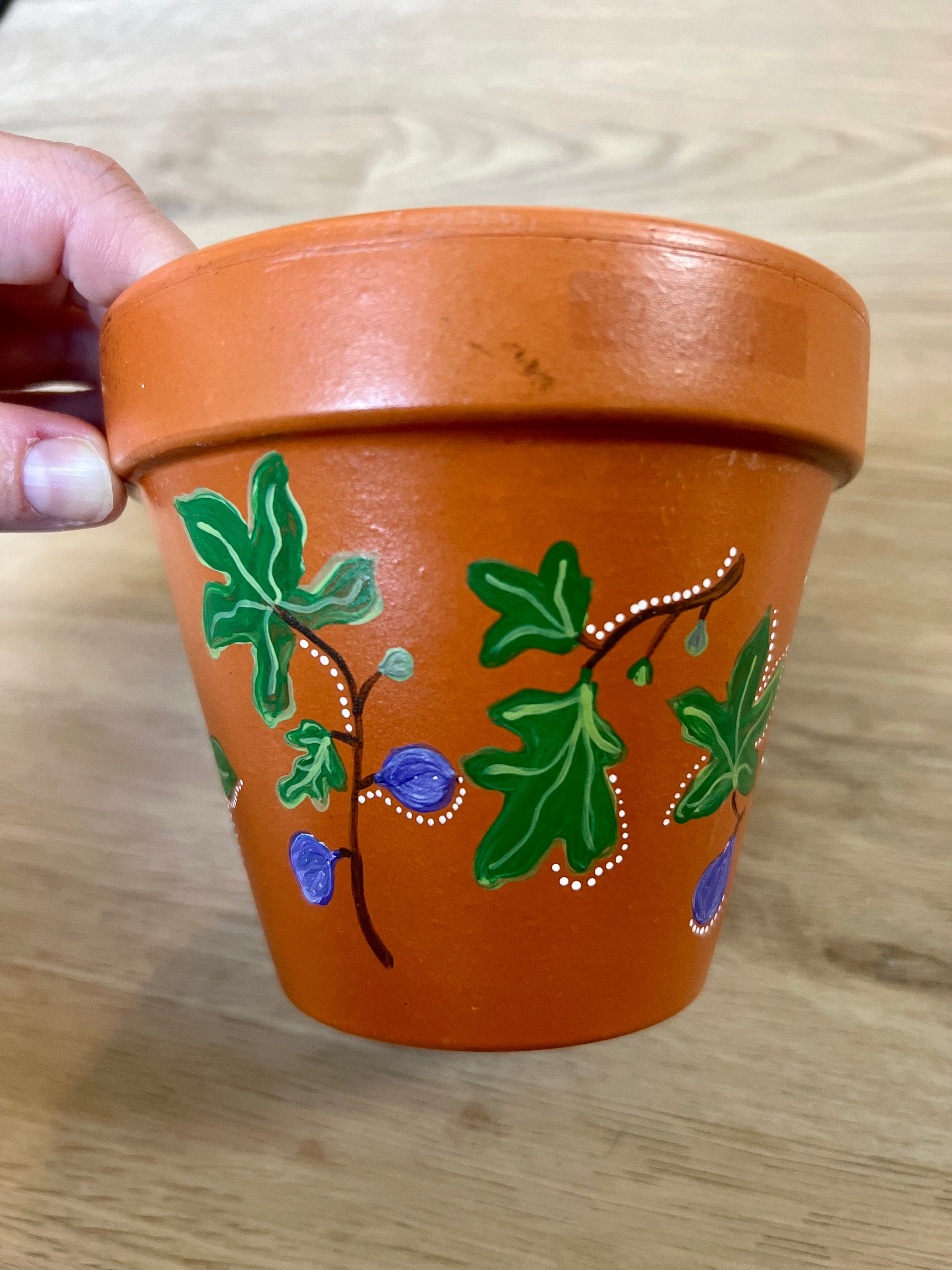 Hand Painted Fig Terra Cotta Pot - Etsy