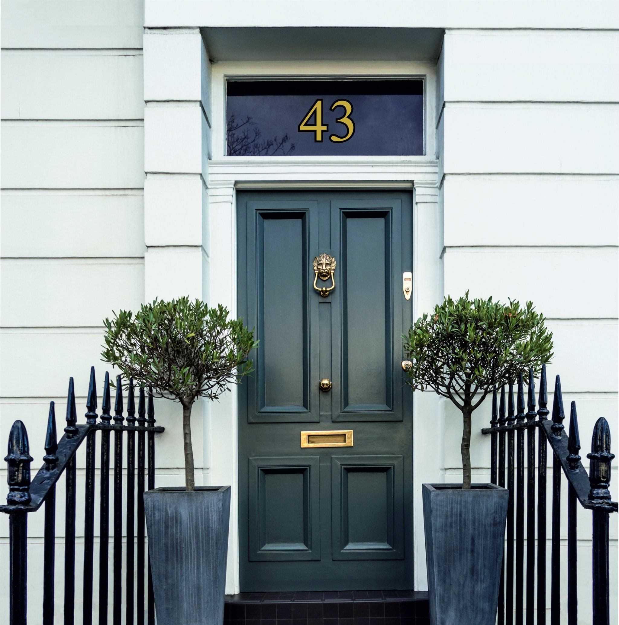 Gold Fanlight Numbers