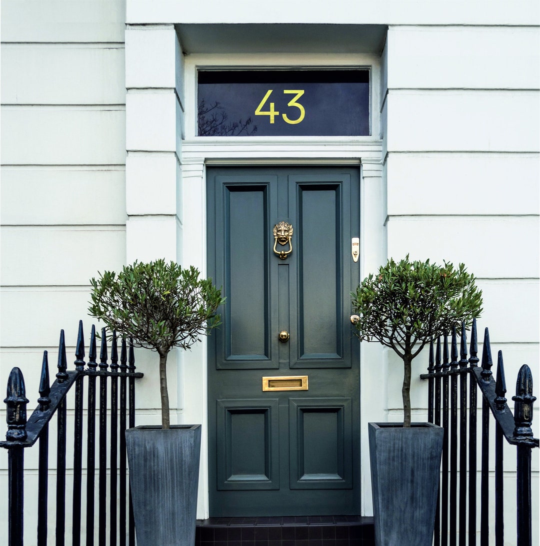 Superior Modern Chrome Gold Door Numbers Transom Modern House Door ...