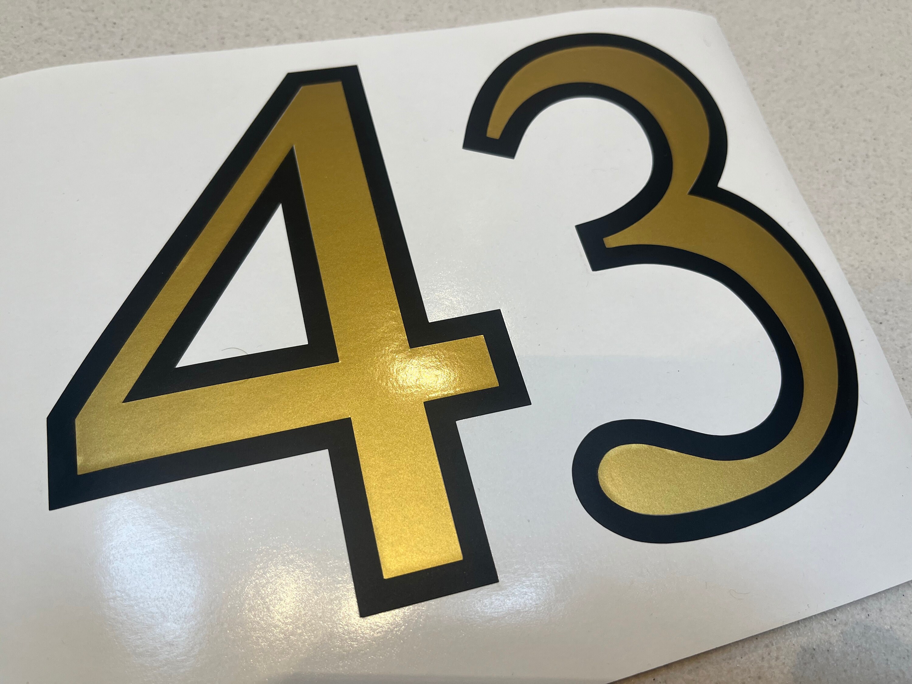 Premium Gold Fanlight Transom House Door Numbers Victorian Style House ...