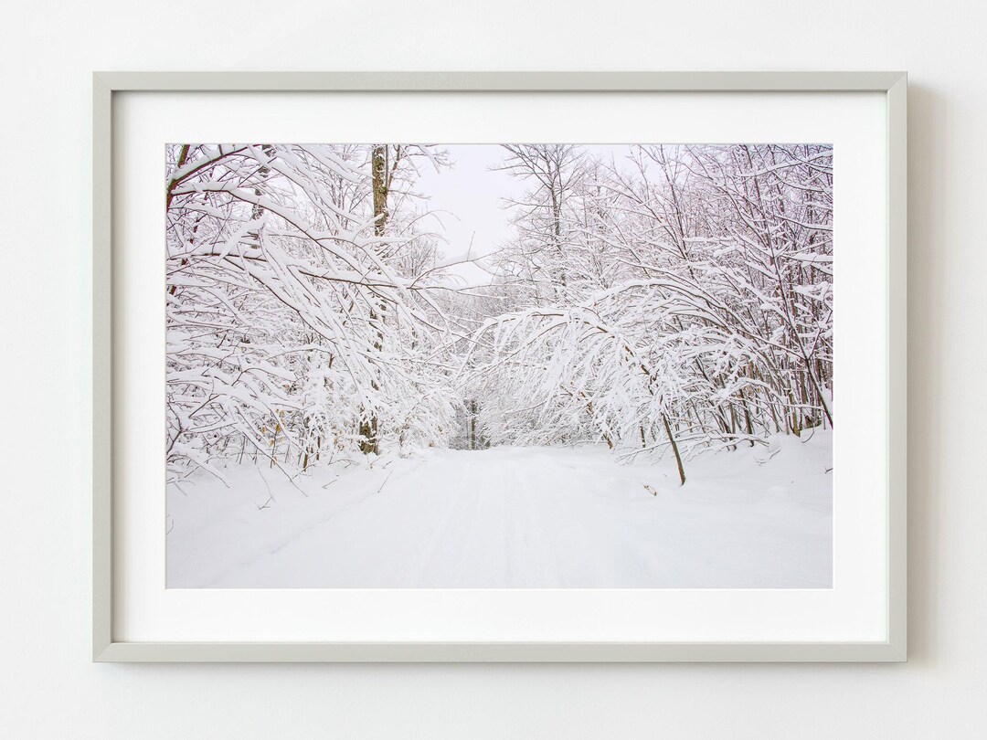 Snow Covered Tree Branches Bending Over Wall Art - Etsy