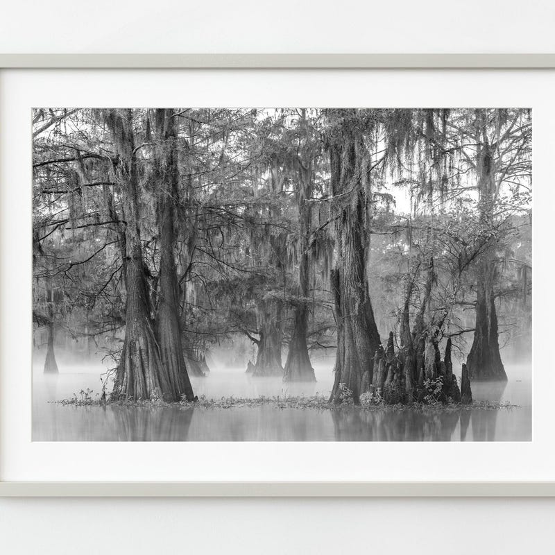 Swamp Art - Etsy