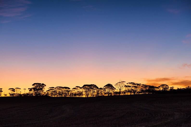 Sunset Landscape Australian Outback | Wall Art - Etsy