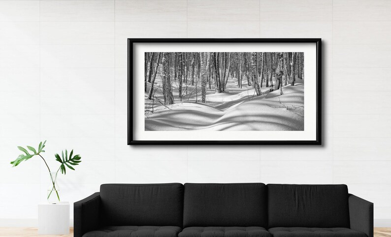 Dense Haliburton Forest Trees in the Winter | Wall Art - Etsy