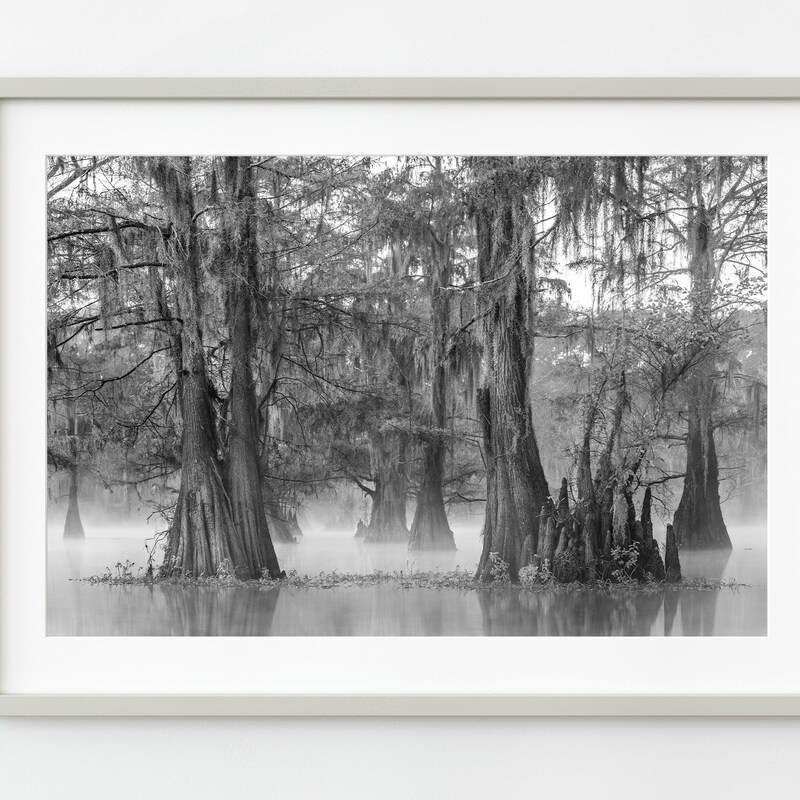 Swamp Art - Etsy
