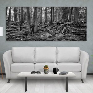 Rocky Forest Floor of the Haliburton Highlands | Wall Art - Etsy