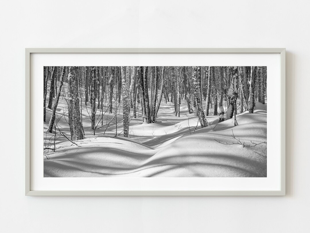 Dense Haliburton Forest Trees in the Winter Photo Art Print - Etsy