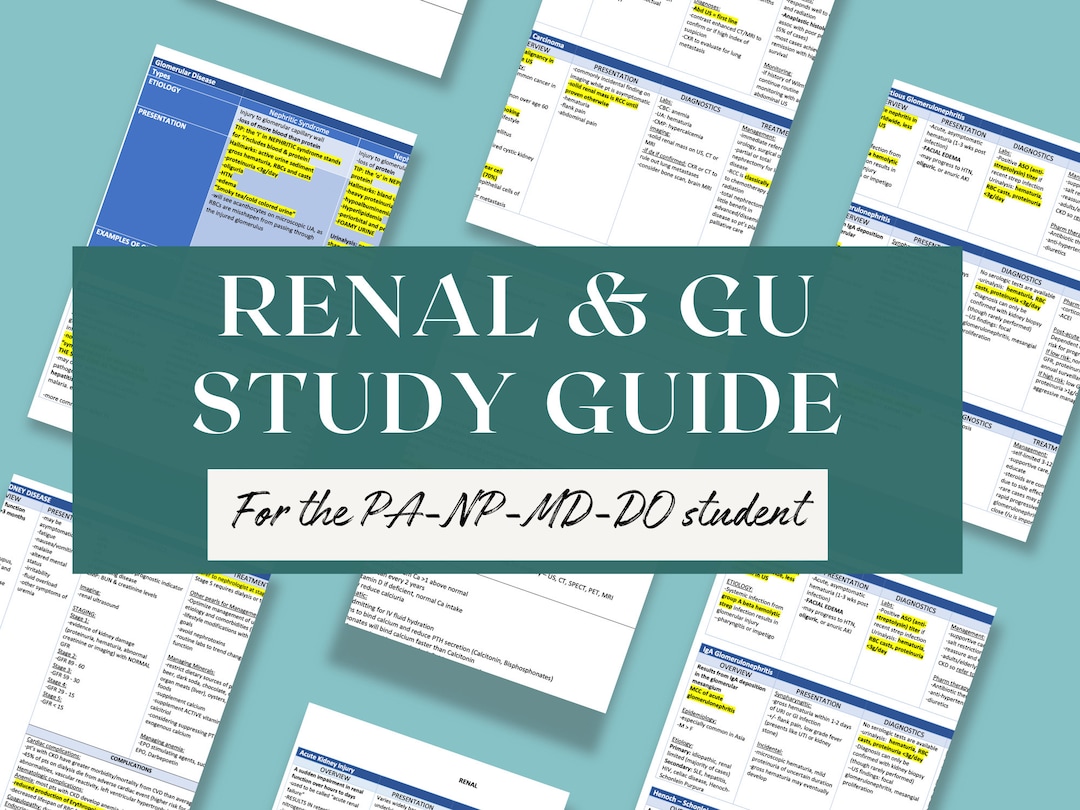 Renal & Genitourinary Study Guide / Physician Assistant / Nurse ...