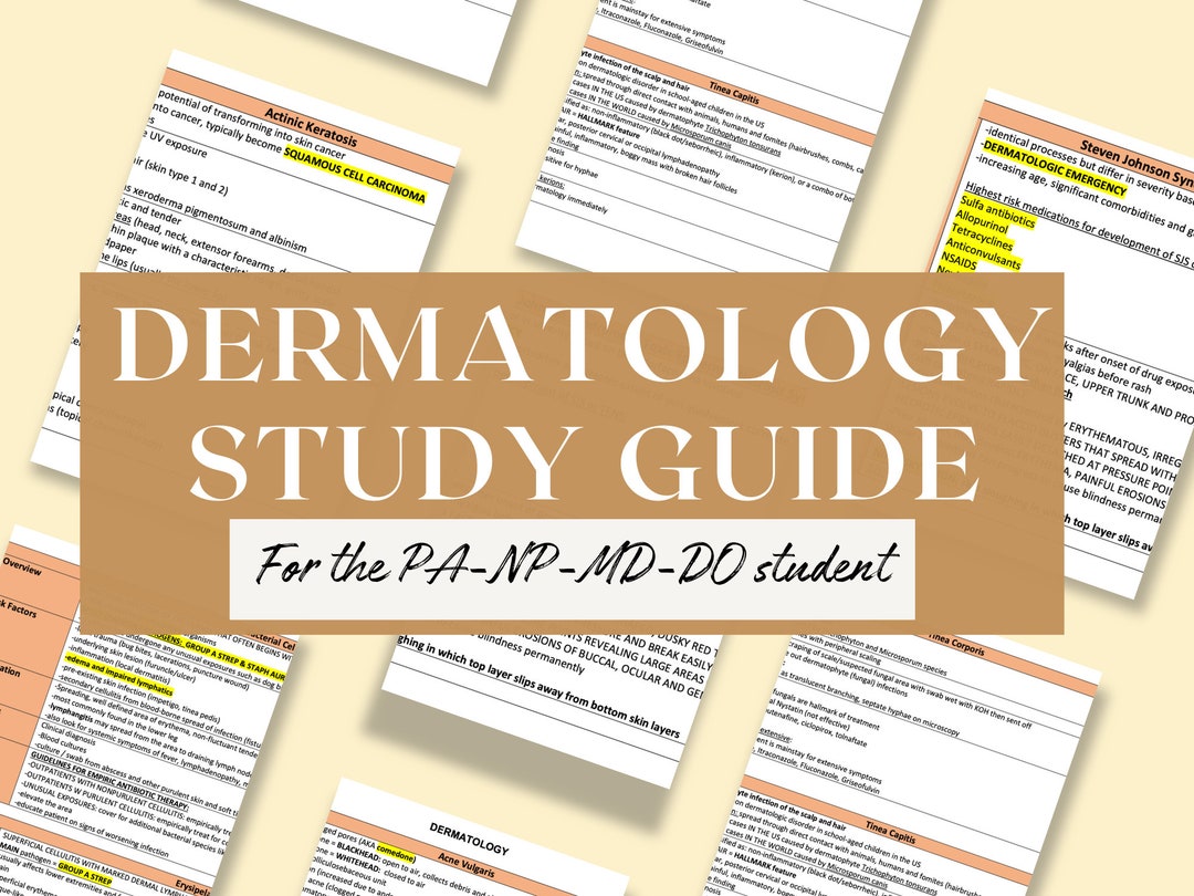 Dermatology Study Guide / PA Dermatology Study Guide / NP - Etsy