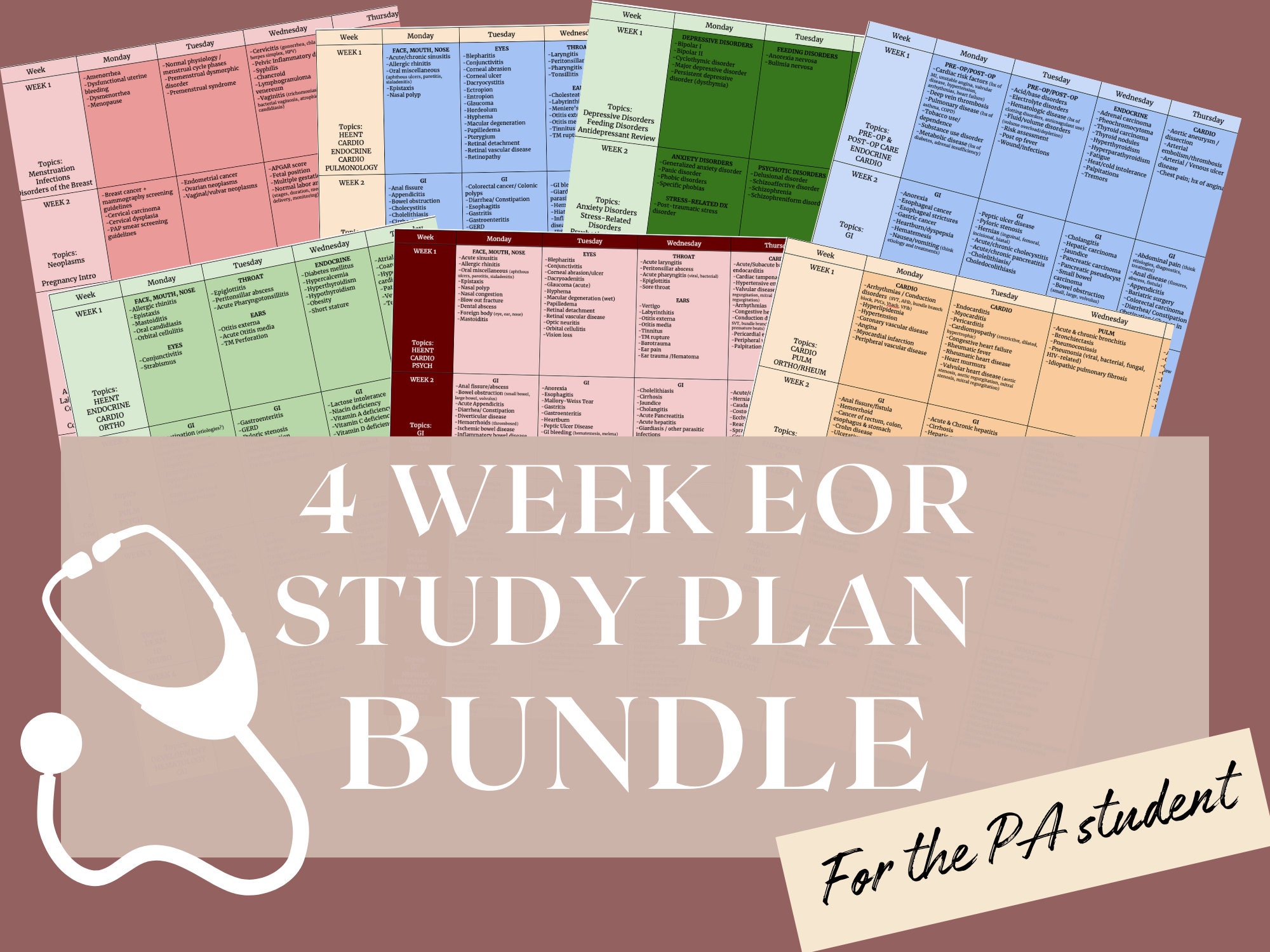 4 Week EOR Study Plan BUNDLE / EOR Study Plans for Physician Assistant Students - Etsy