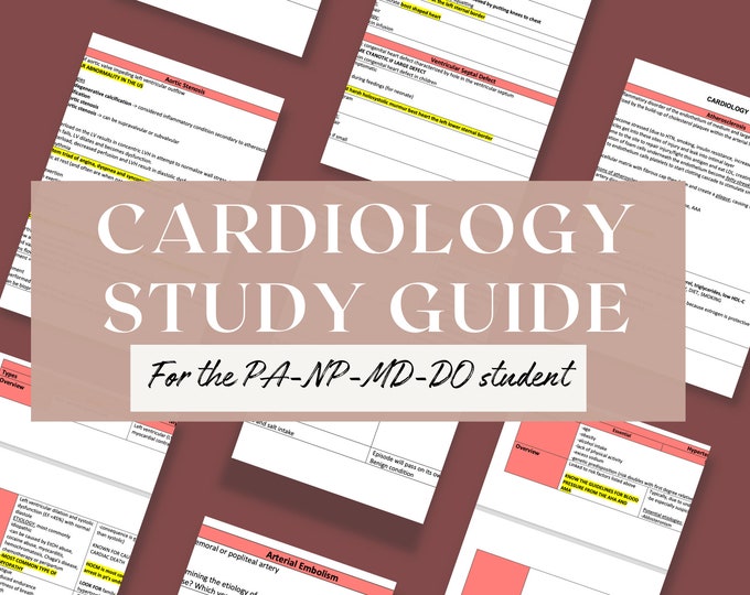 NCLEX Nursing Study Guide Respiratory Lungs Pleural Effusion Digital ...