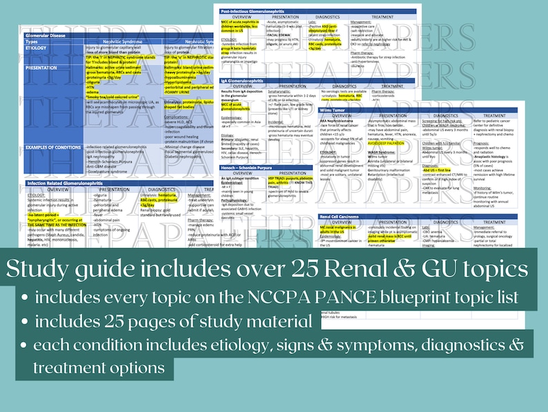 Renal & Genitourinary Study Guide / Physician Assistant / Nurse ...