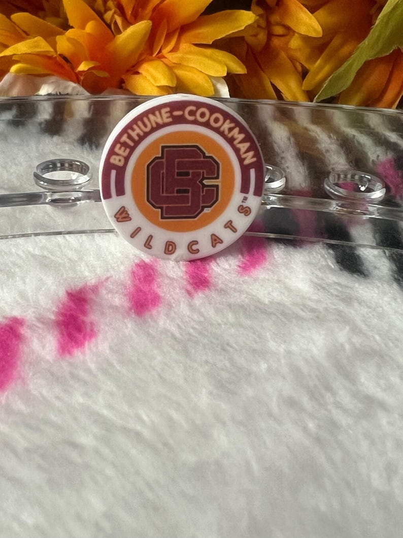Bethune Cookman Wildcats Printed Focal Beads - Etsy
