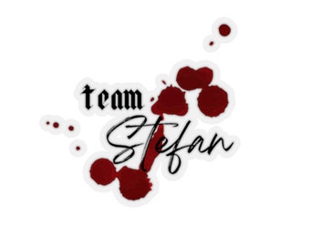 Damon & Stefan Sticker TVD Team Damon Team Stefan - Etsy
