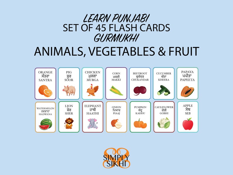 45 Learn Punjabi Flash Cards, Fruit, Animals and Vegetables in Punjabi ...
