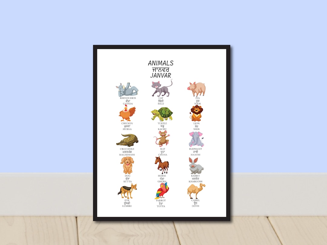 Animals in Punjabi, Punjabi Educational Poster, Sikh, Playroom Decor ...
