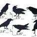 24 Glitter Raven/ Crow Cutouts for Halloween Crafts - Etsy