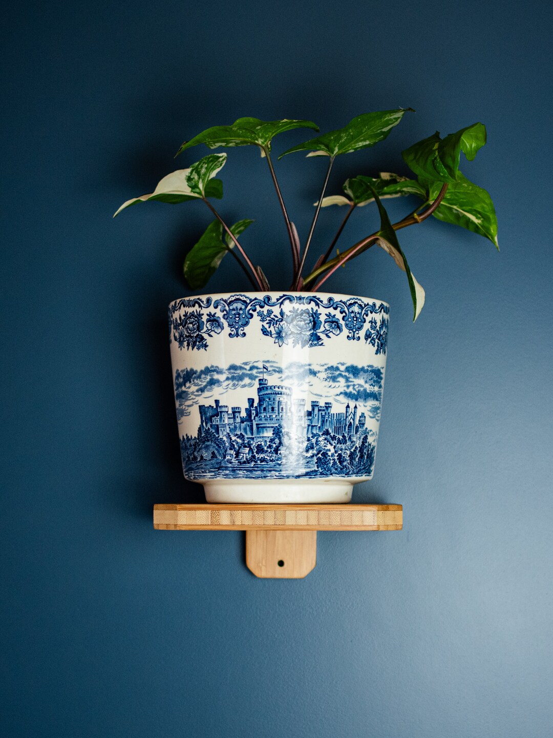 Single Plant Shelf, Plant Storage Ideas, Display Shelf, Plant ...