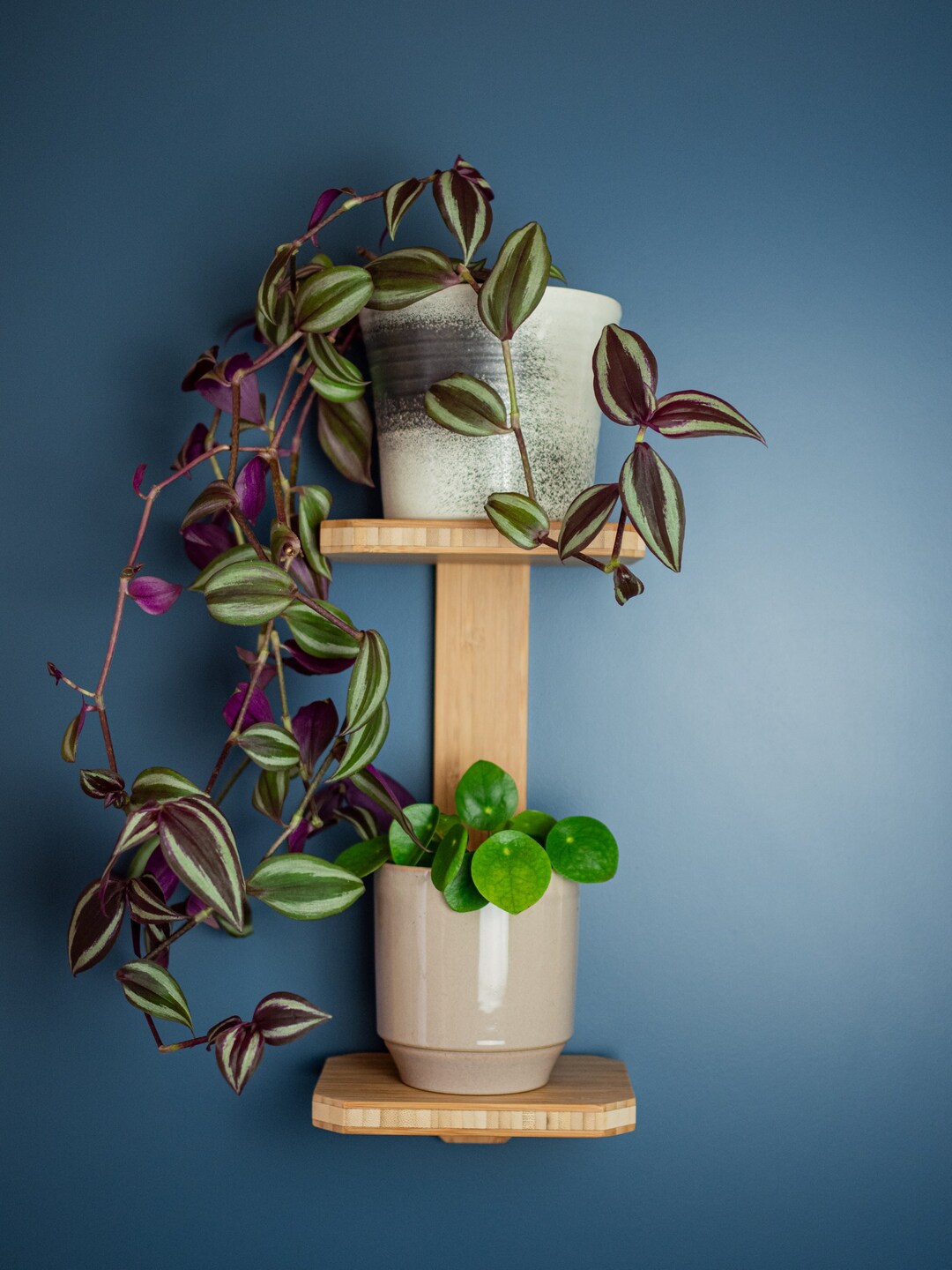 Double Plant Shelf, Plant Storage Ideas, Display Shelf, Plant ...