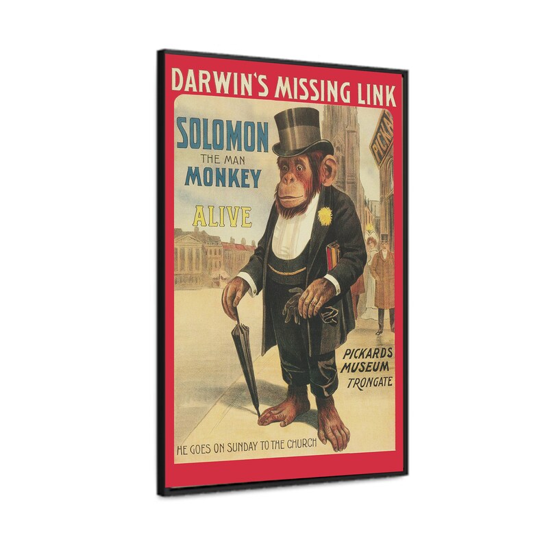 Solomon the Man Monkey Poster, Vintage Poster Print, Darwin, Science ...