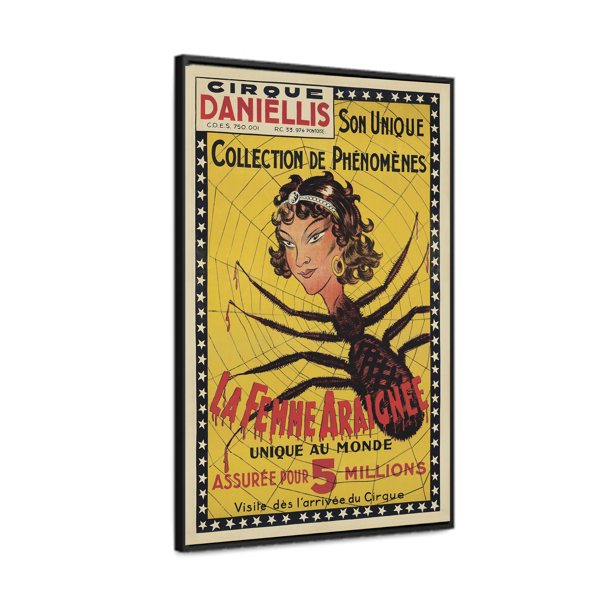 Spider Women Circus Sideshow Poster, French Poster Paris, Wall Art ...