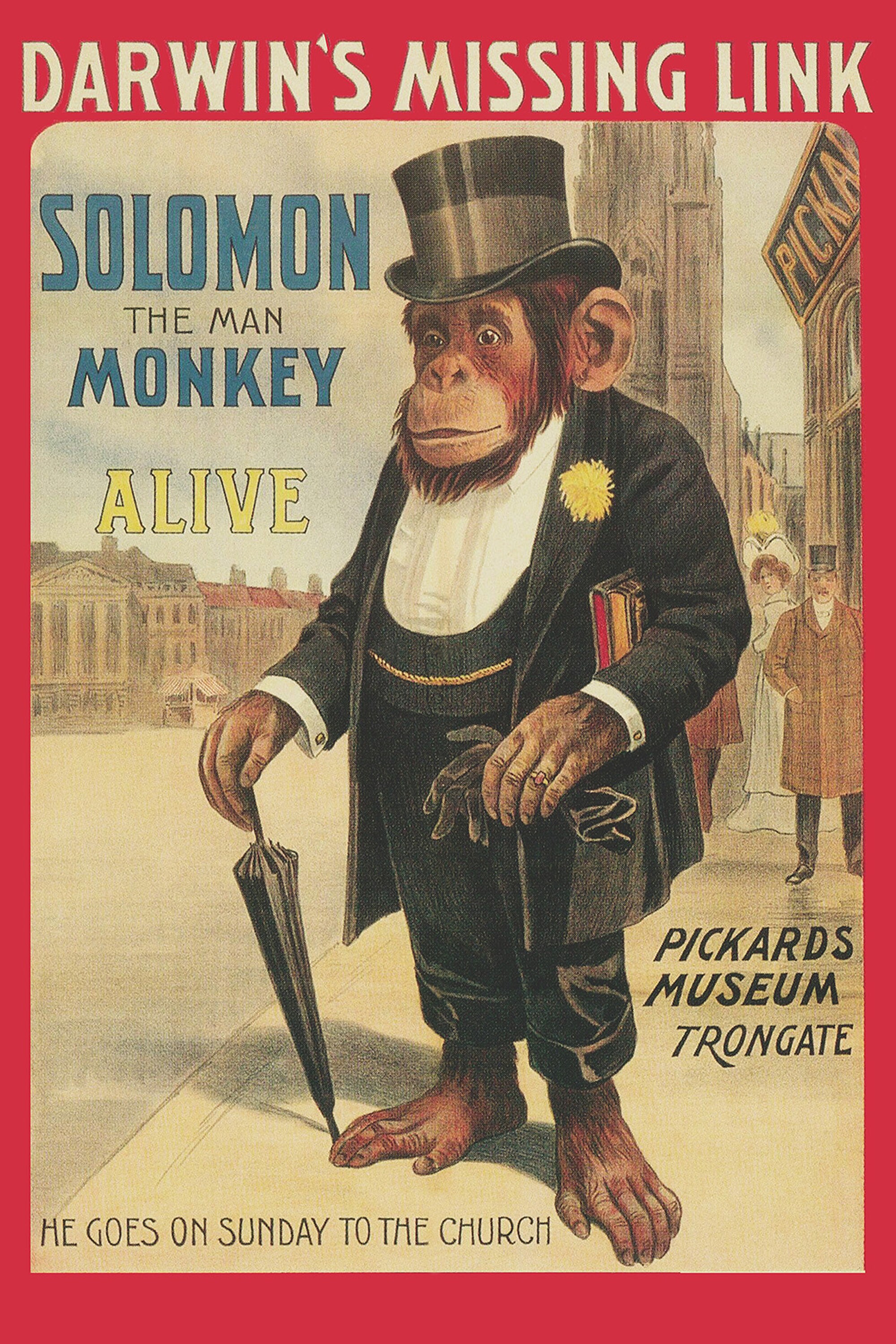 Solomon the Man Monkey Poster, Vintage Poster Print, Darwin, Science ...