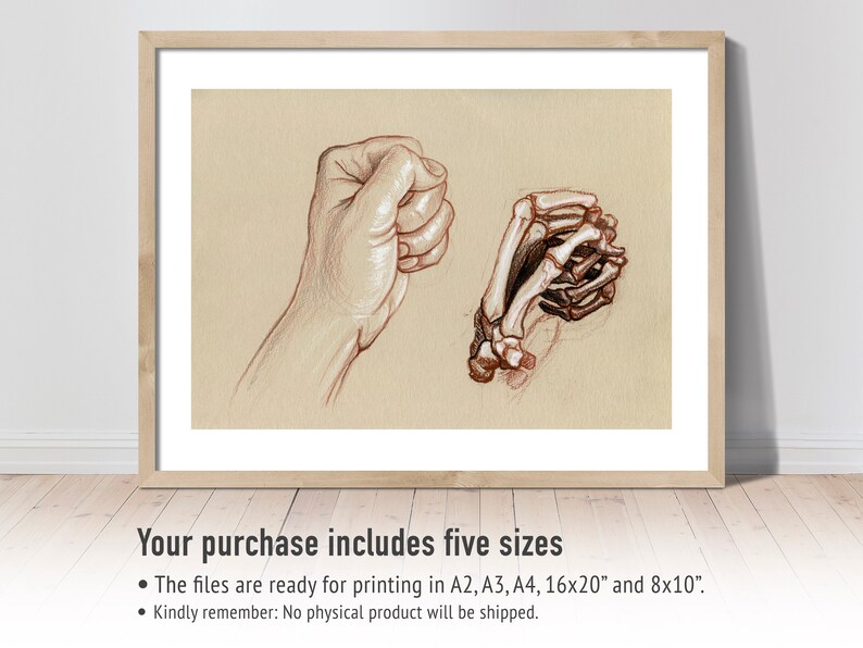 Printable Anatomical Poster of a Fist and Its Bones, Orthopedic Surgeon ...