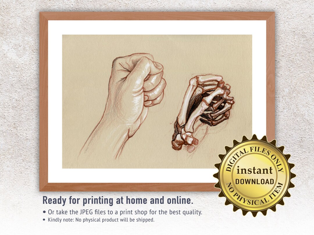 Printable Anatomical Poster of a Fist and Its Bones, Orthopedic Surgeon ...