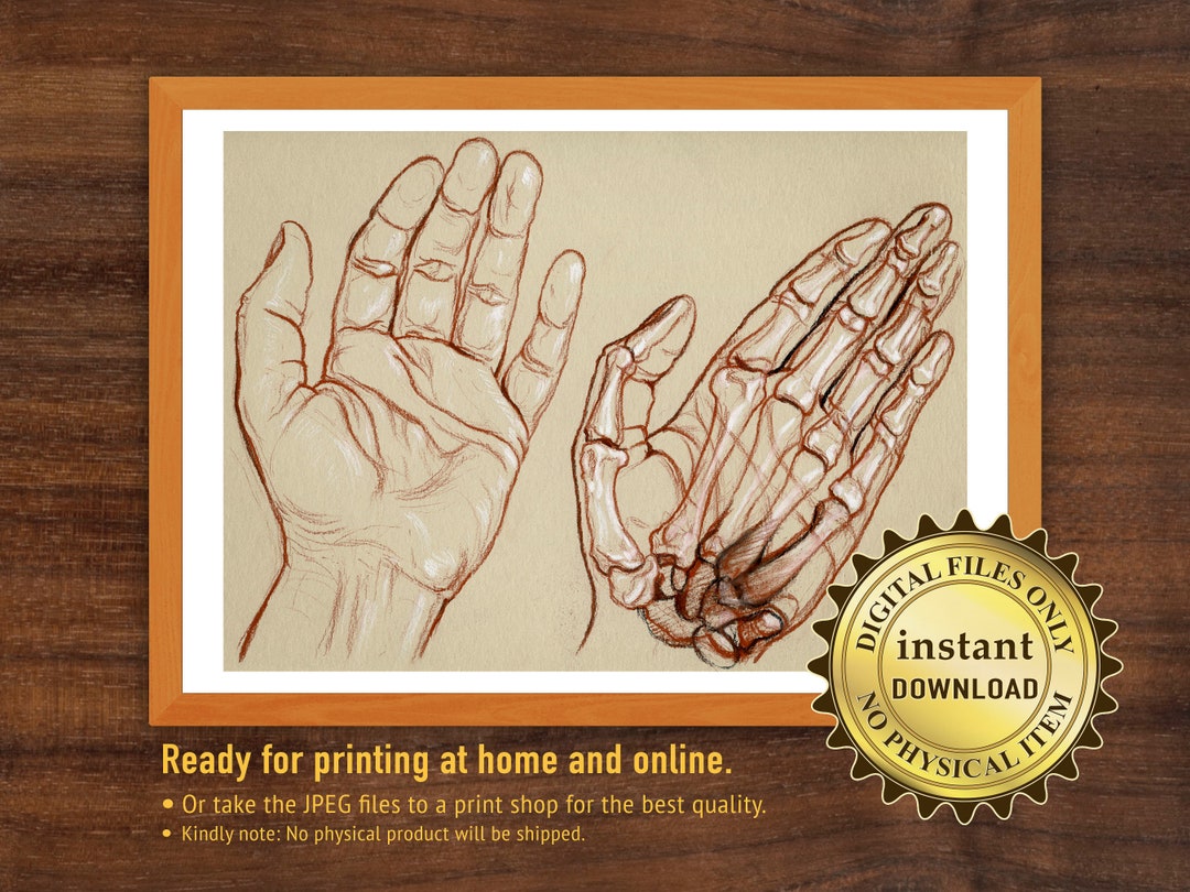 Hand Anatomy Drawing: Freehand Palm Art, Surgeon Gift (digital Download ...