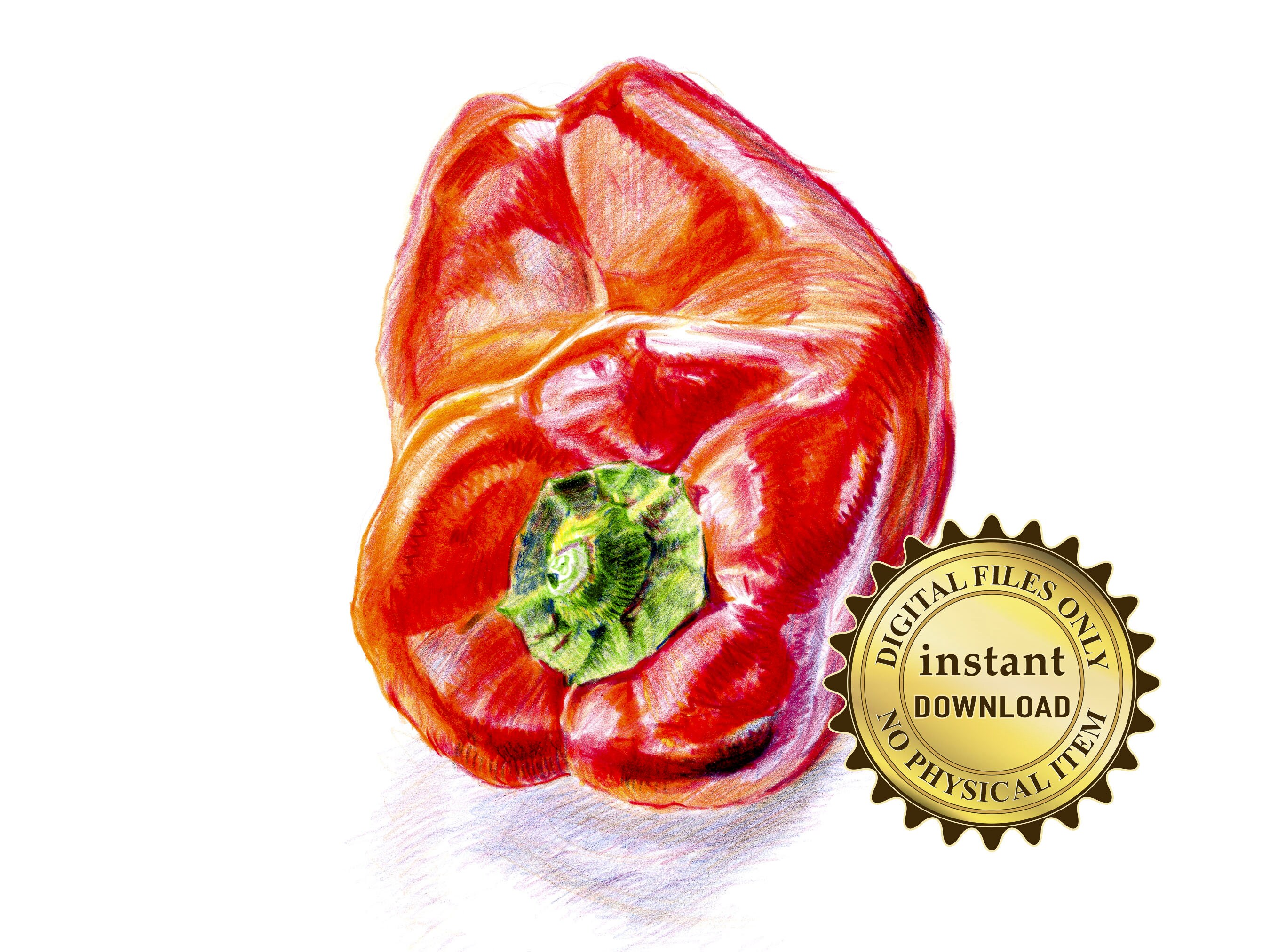 Red Bell Pepper Drawing Instant Download. Red Pepper Drawing. Culinary ...