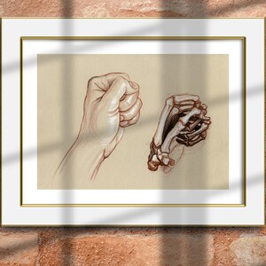 Printable Anatomical Poster of a Fist and Its Bones, Orthopedic Surgeon ...