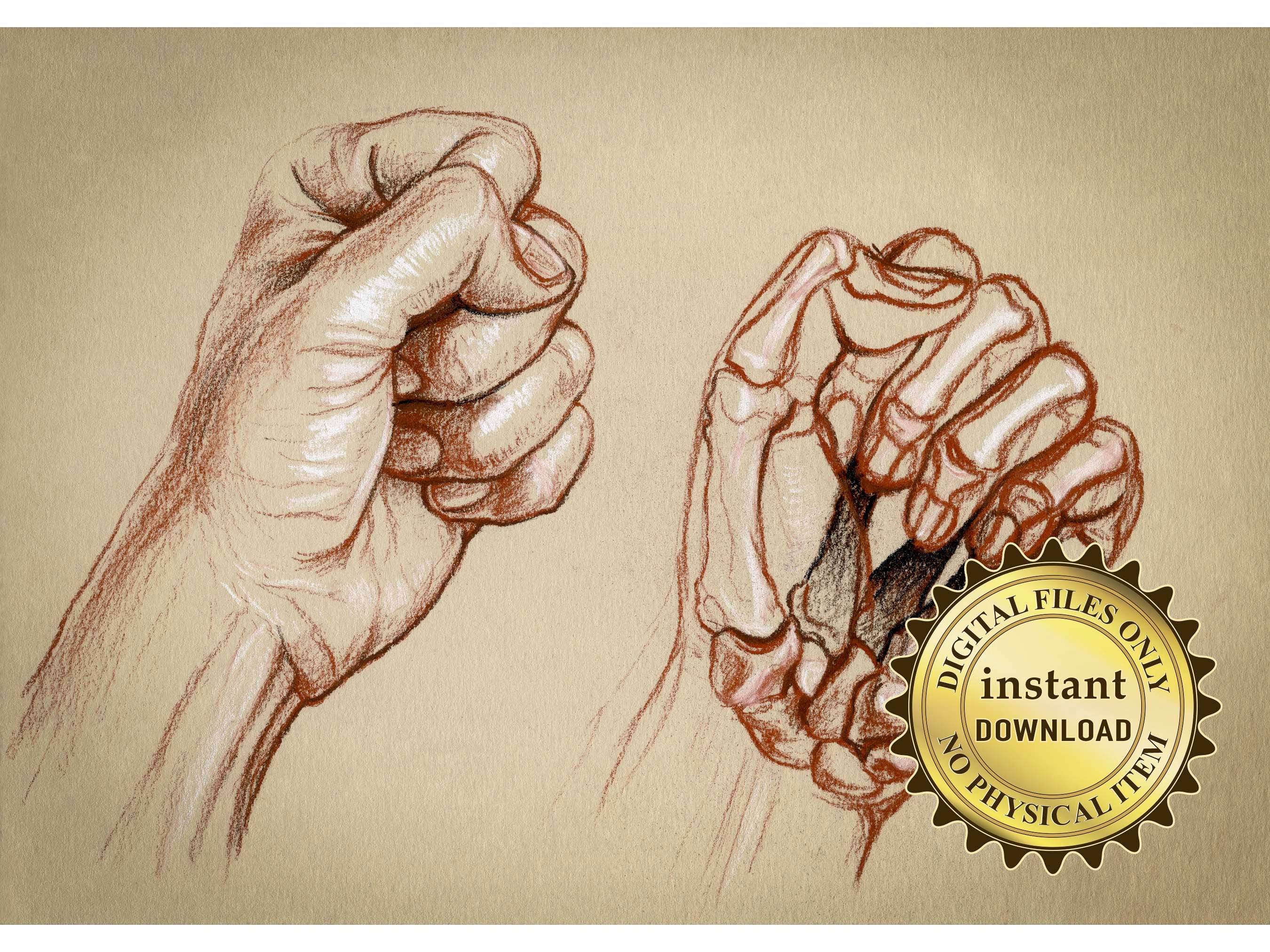 Hand Anatomy Art Print: Metacarpal Carpal Drawing (digital Download ...