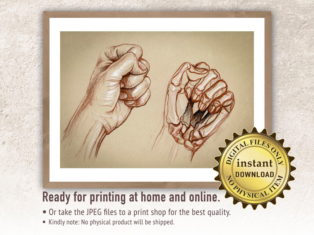Hand Anatomy Art Print: Metacarpal Carpal Drawing (digital Download ...