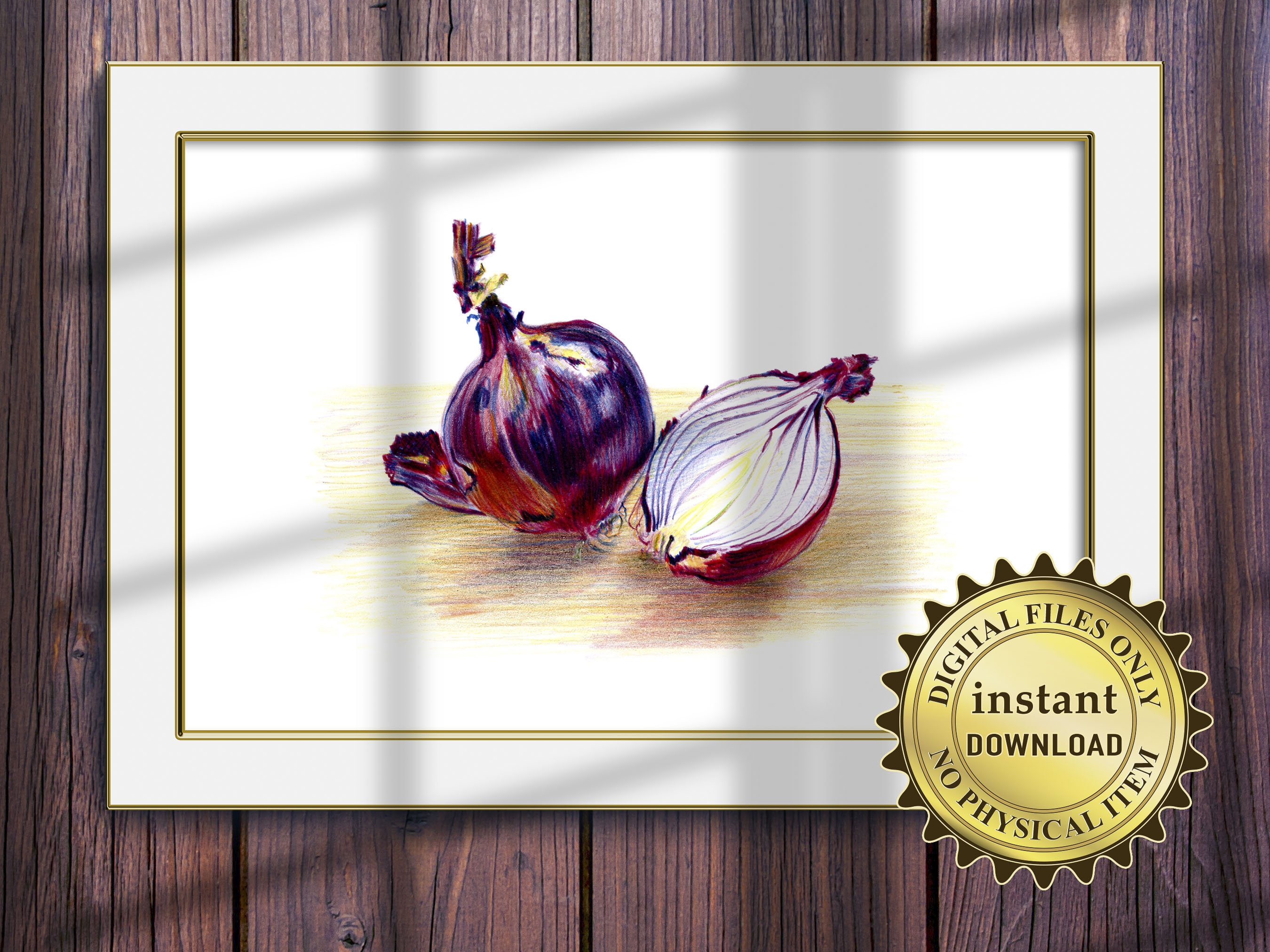Red Onion Drawing