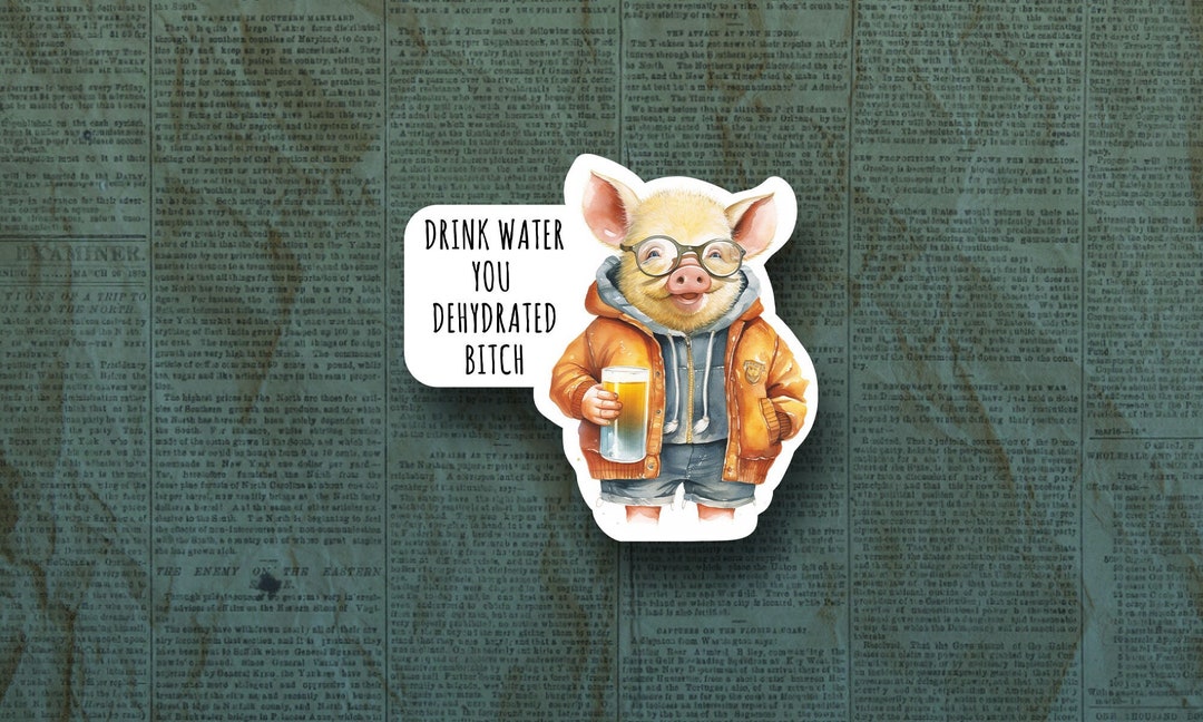 Drink Water You Dehydrated Bitch, Funny Sticker, Motivational Sticker ...