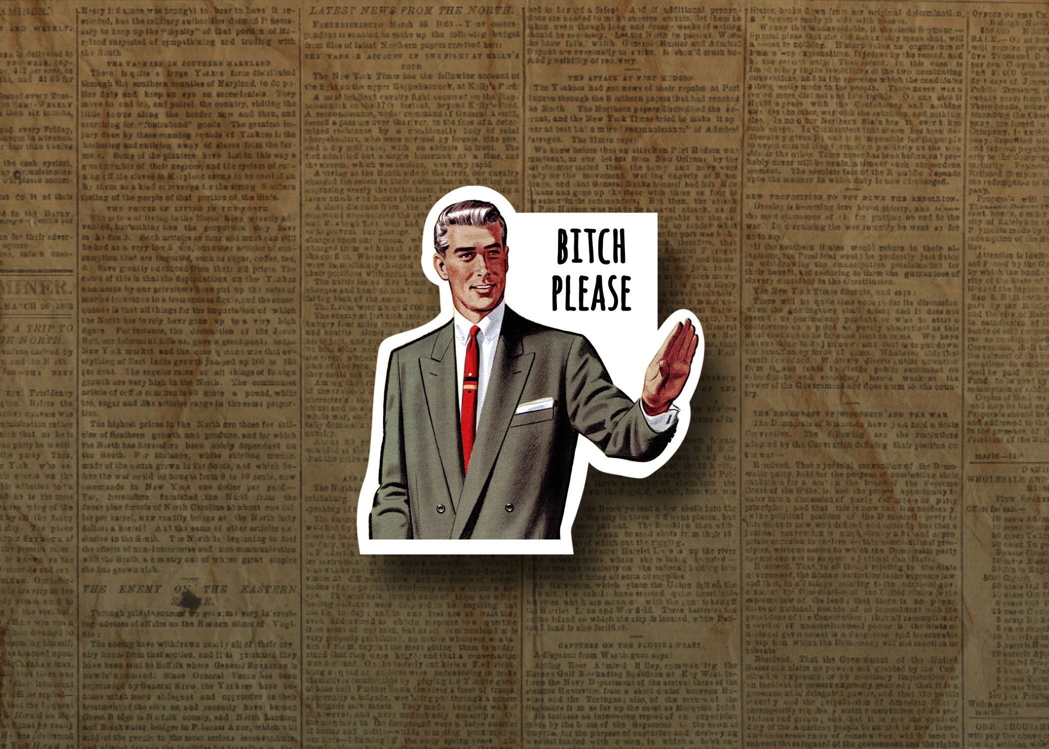 Bitch Please Sticker, Funny Sticker, Funny Gift, Meme Sticker, Calm ...