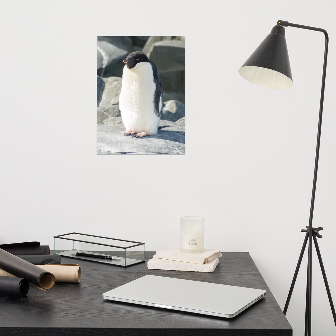 Grumpy Adelie Penguin in Antarctica. 12x16" Wildlife Fine Art Print ...